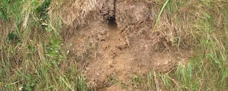 8. MOLE DRAINS | Land Drainage